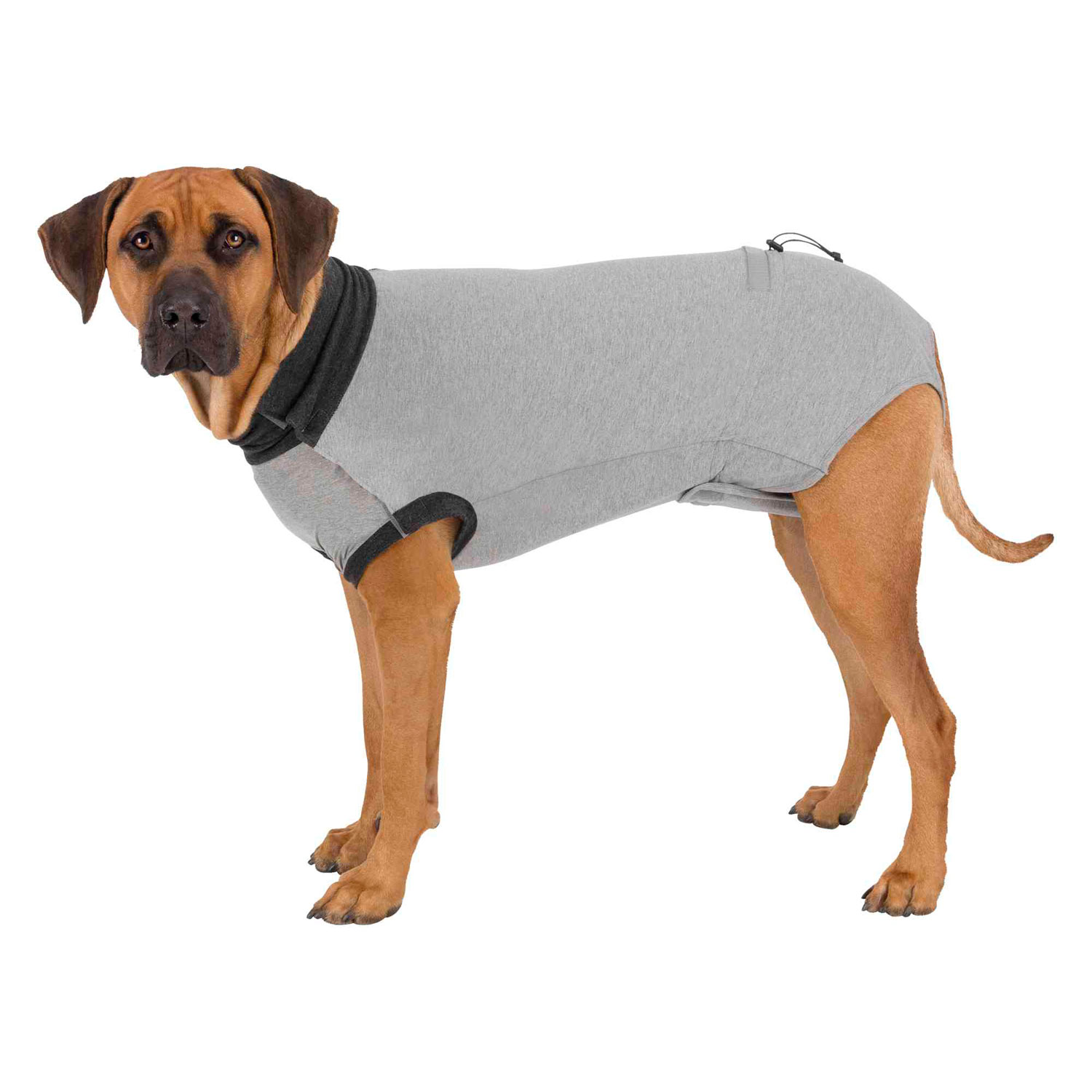 Body Protector para Perros, XL: 70 cm, Gris - B2B - Grupo Trixder