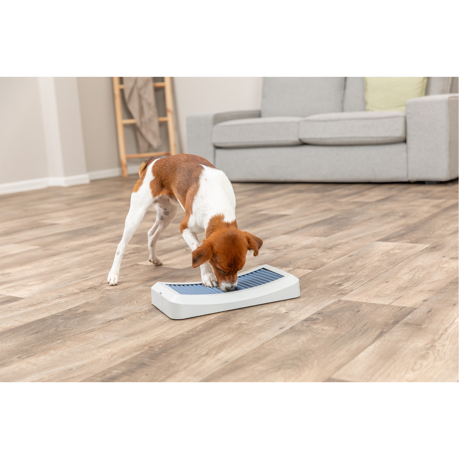 Dog Activity Rod Board - B2B - Grupo Trixder