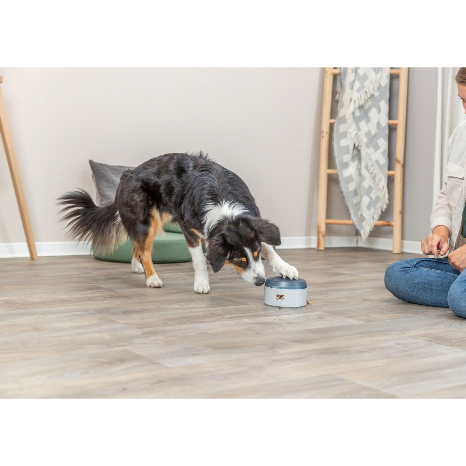 Dog Activity Buzzer, plástico, ø 14 × 9.5 cm - B2B - Grupo Trixder