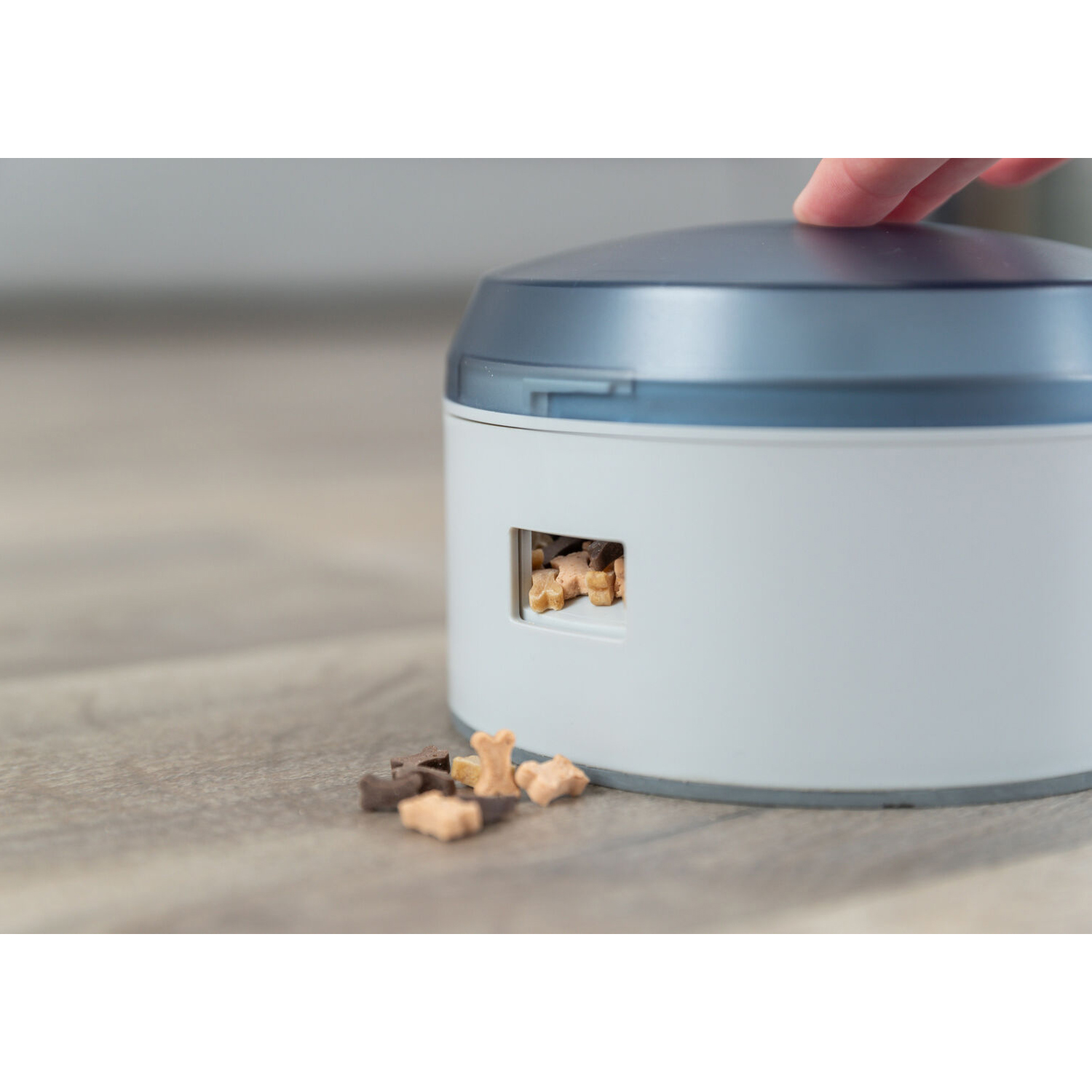 Dog Activity Buzzer, plástico, ø 14 × 9.5 cm - B2B - Grupo Trixder